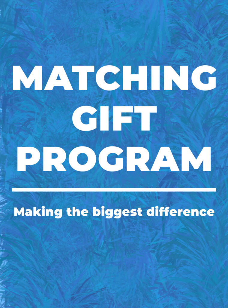 Matching Gift Program | Discover and Rediscover | 88.9 WERS